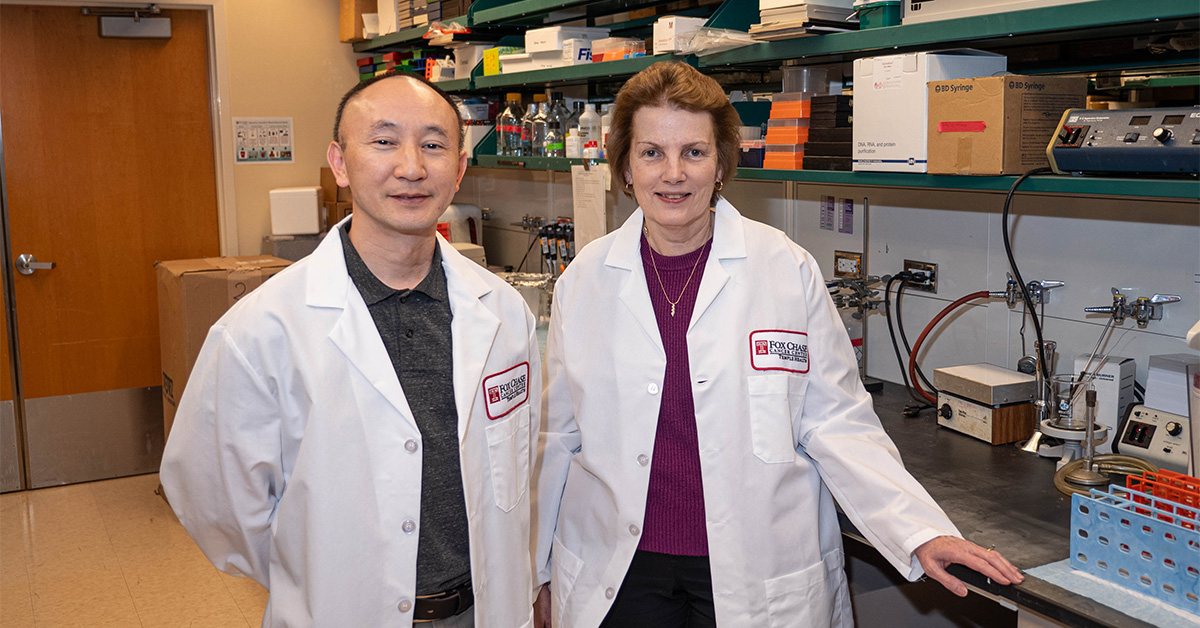 Fox Chase Cancer Center Researchers Show Estrogen Metabolites ...