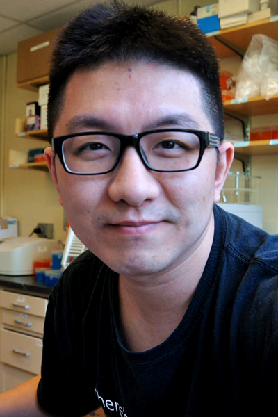 Alana O'Reilly | Fox Chase Cancer Center - Philadelphia PA