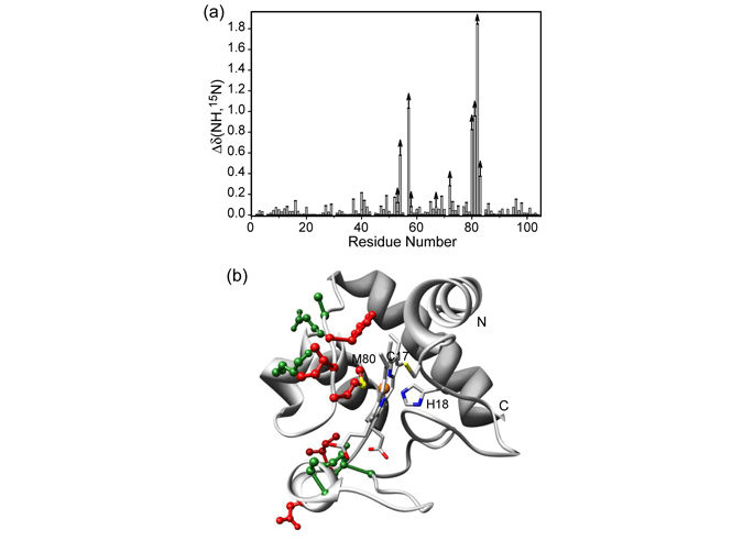 Heinrich Roder | Fox Chase Cancer Center - Philadelphia PA