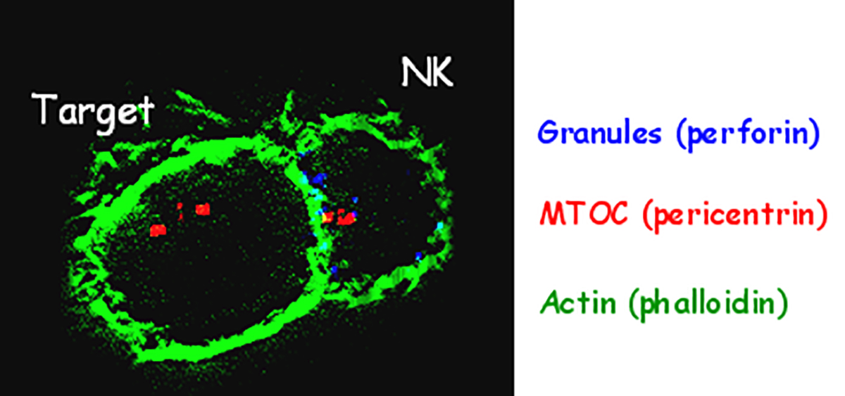 Kerry Campbell | Fox Chase Cancer Center - Philadelphia PA